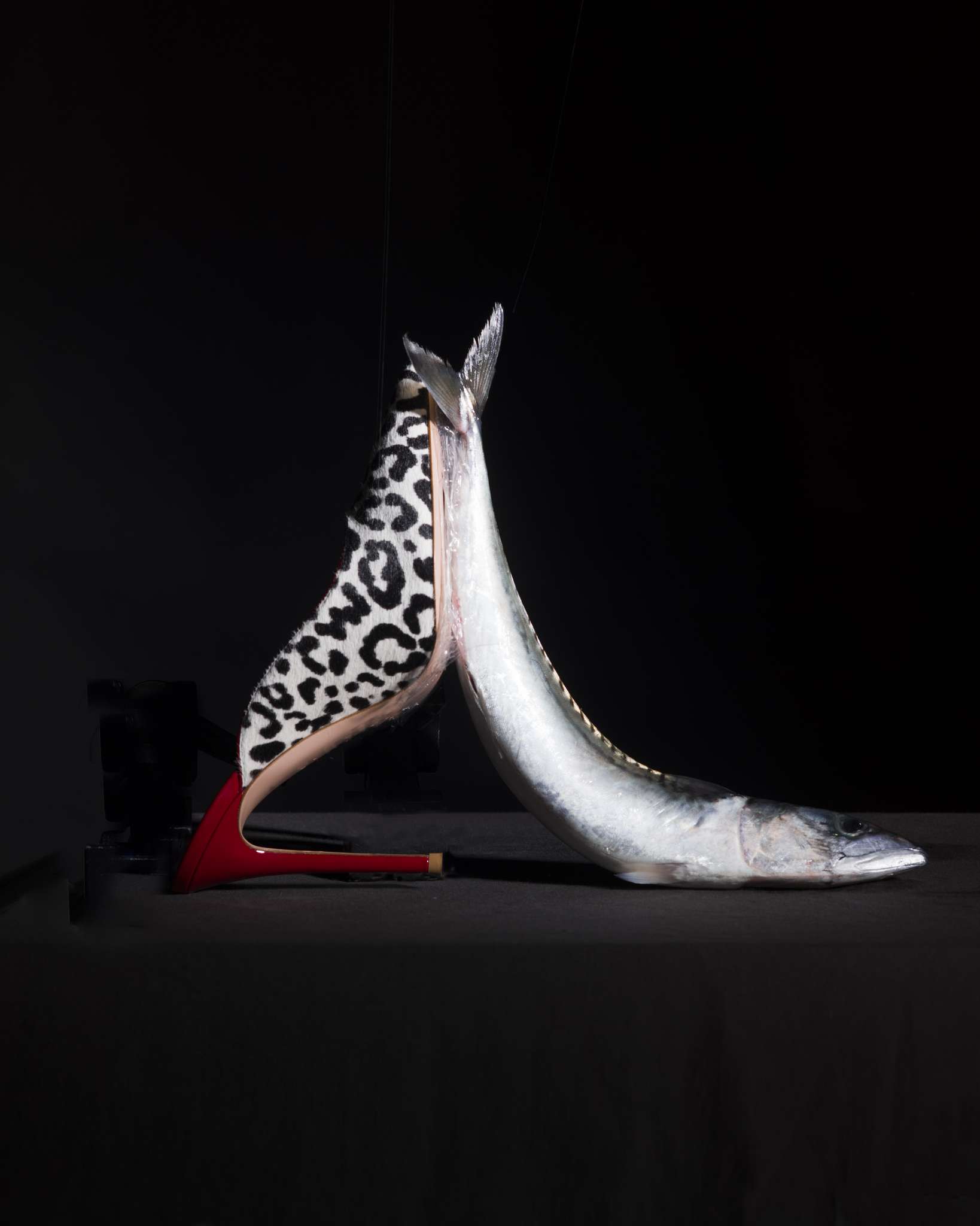 Rohan Chakravarty I Photographer I Videographer