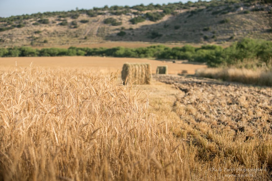 A Farming | Ola&Pavel photography