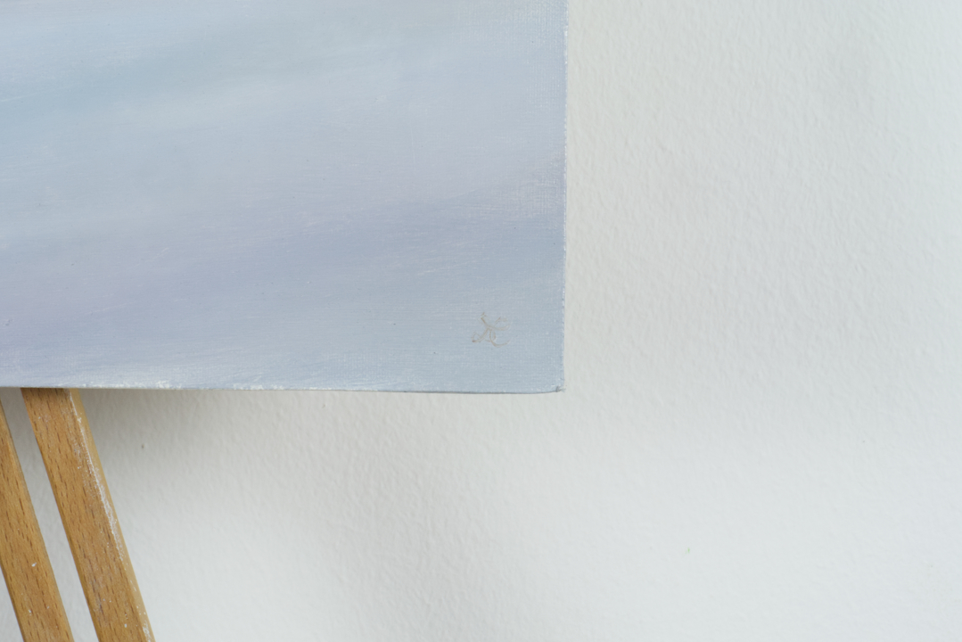 'Vazon Vast' by Darren Cranmer