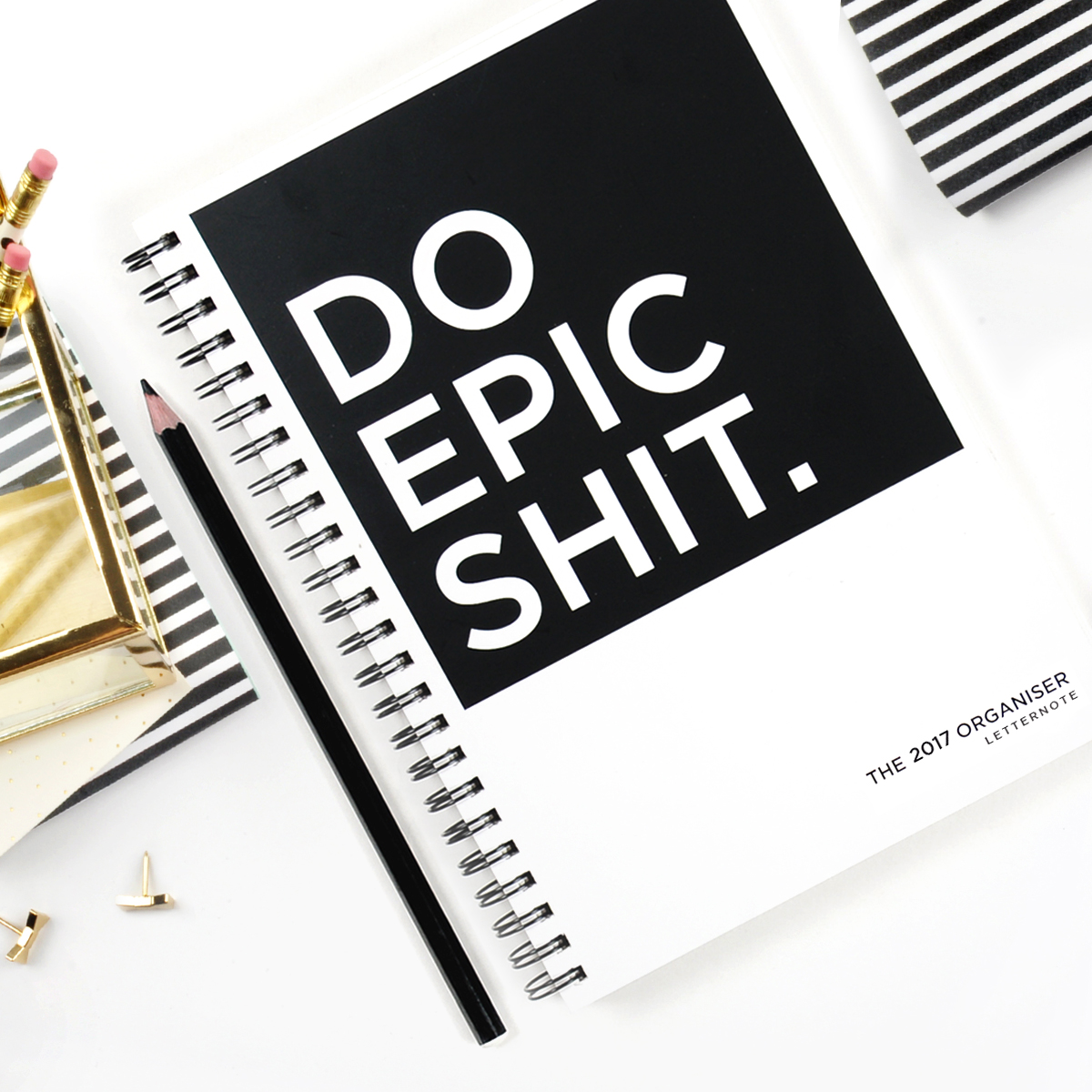 DO EPIC SHIT - 2017 ORGANISER