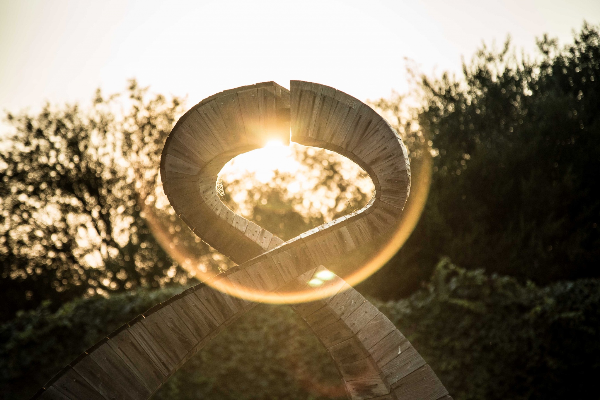 Photo | MATTHEW PENDERGAST