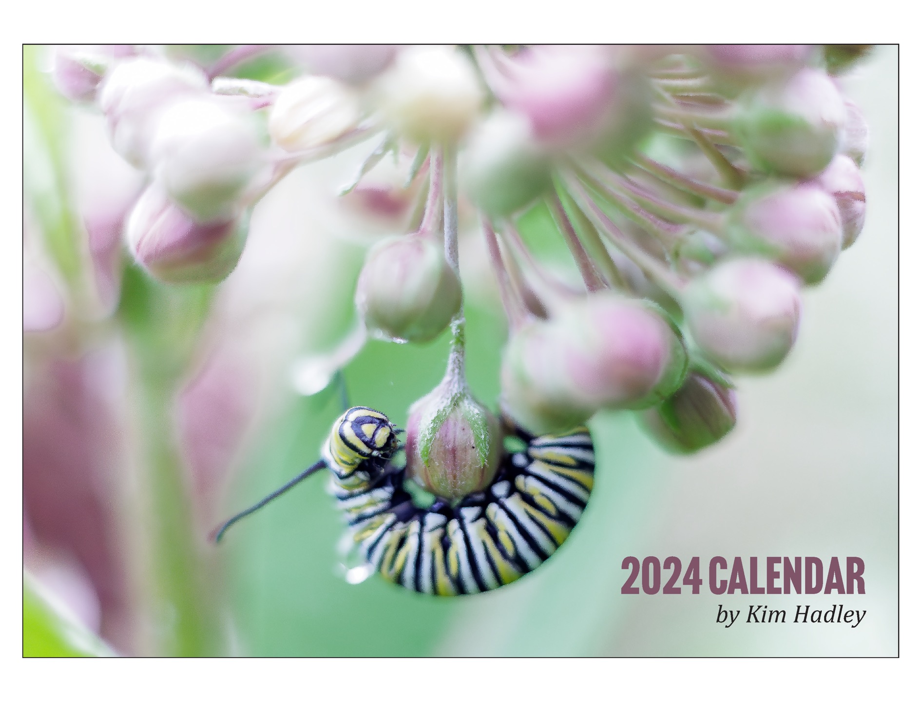 Kim Hadley 2024 Calendar