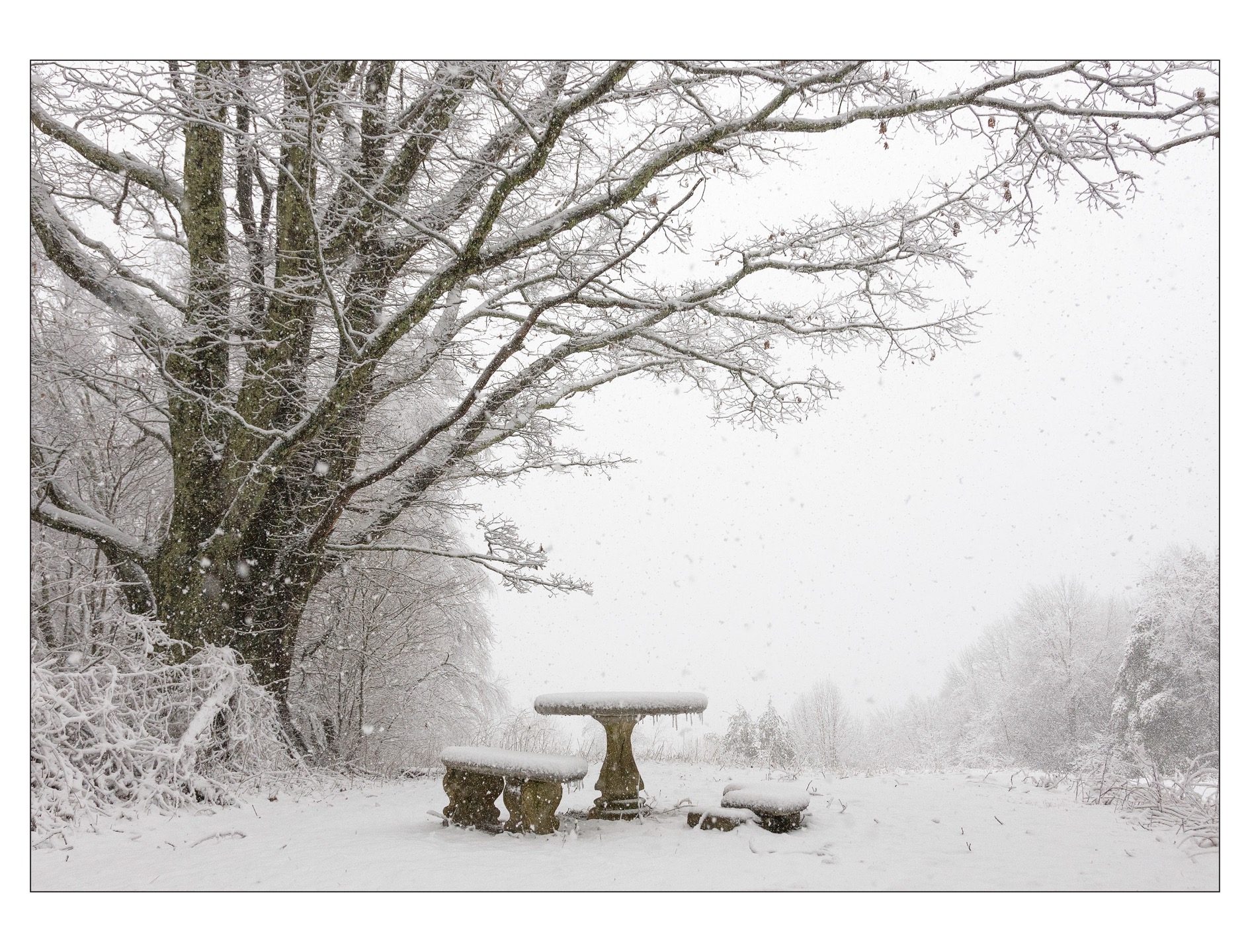 Kim Hadley 2024 Calendar