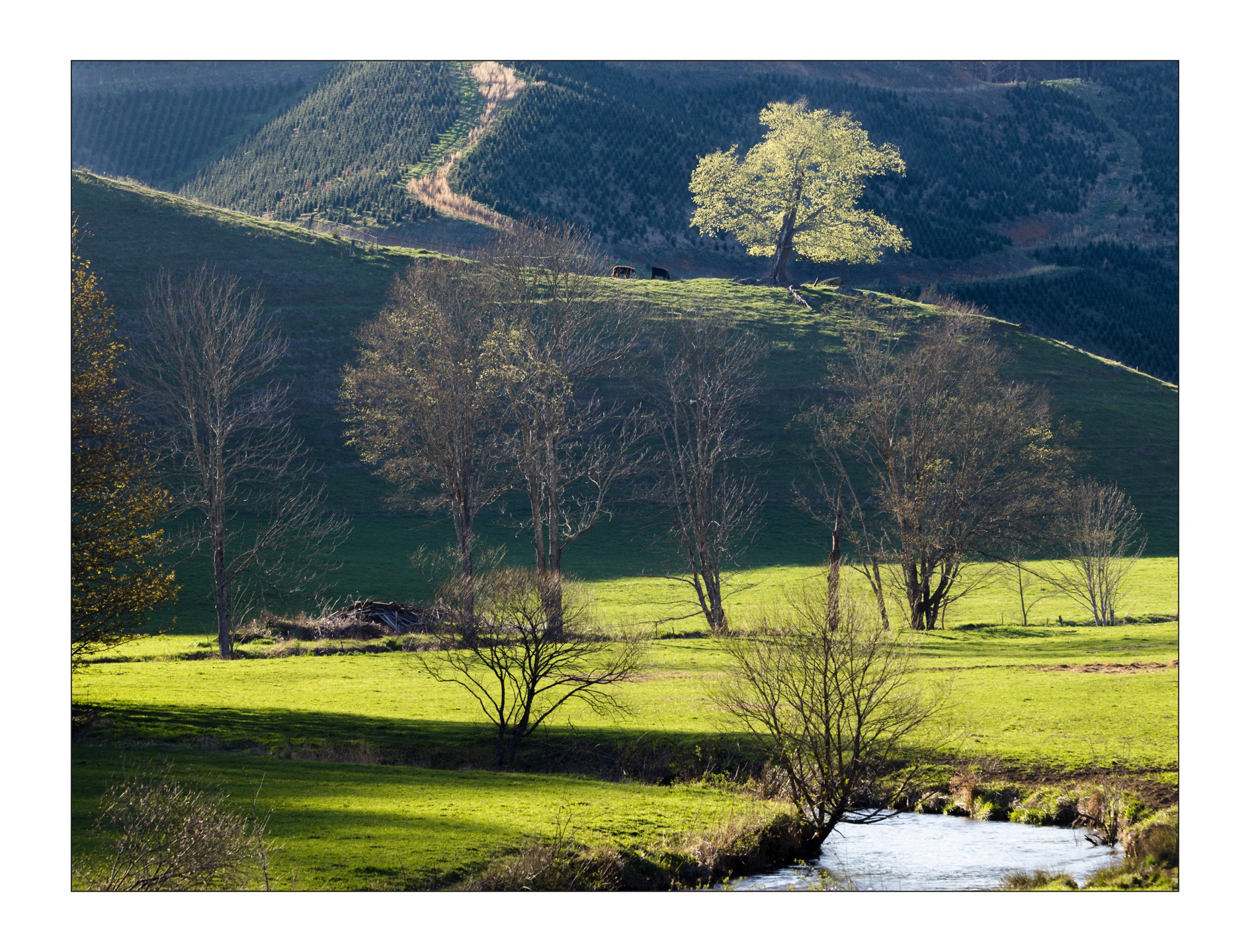 Kim Hadley 2024 Calendar