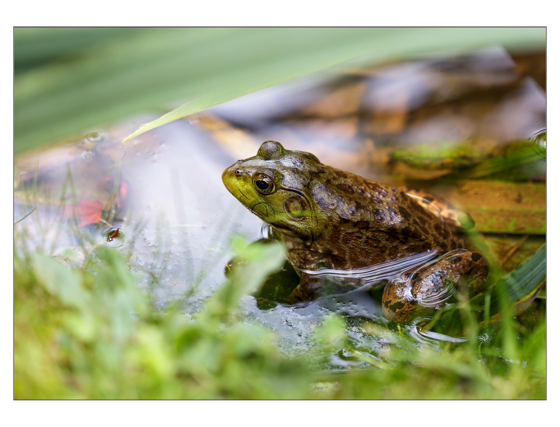 Kim Hadley 2024 Calendar