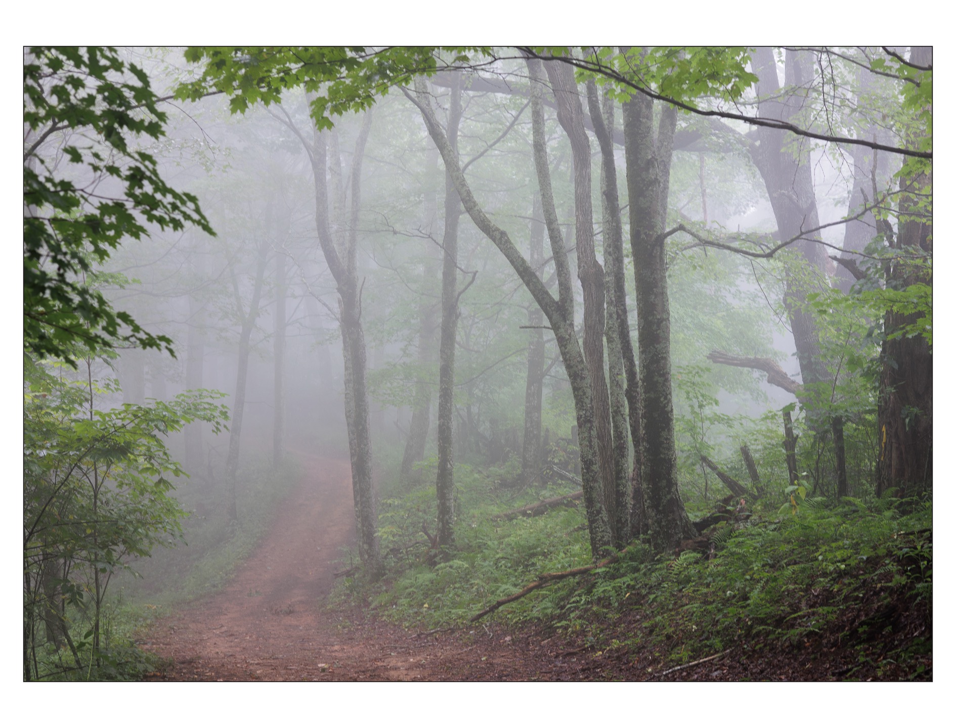 Kim Hadley 2024 Calendar