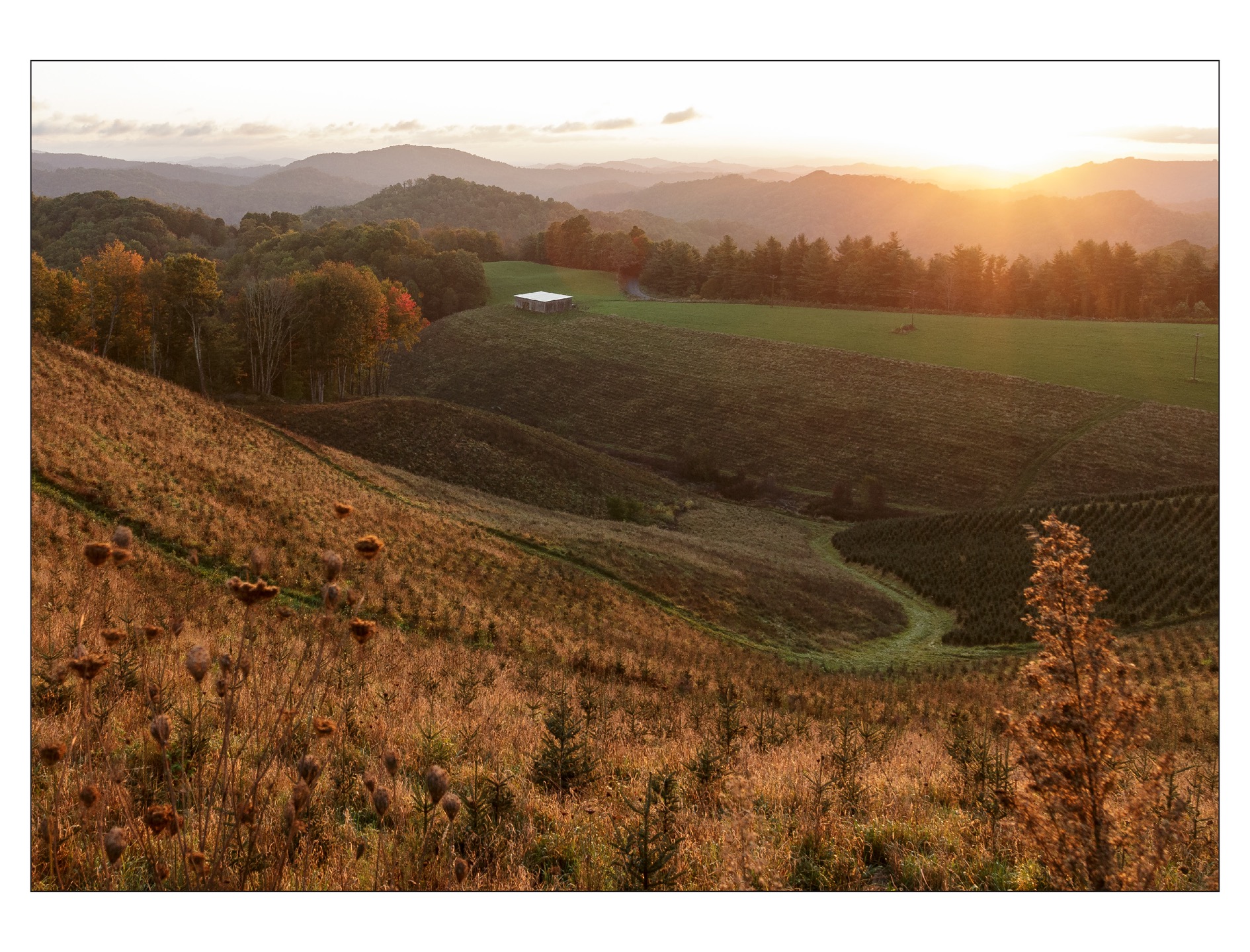 Kim Hadley 2024 Calendar