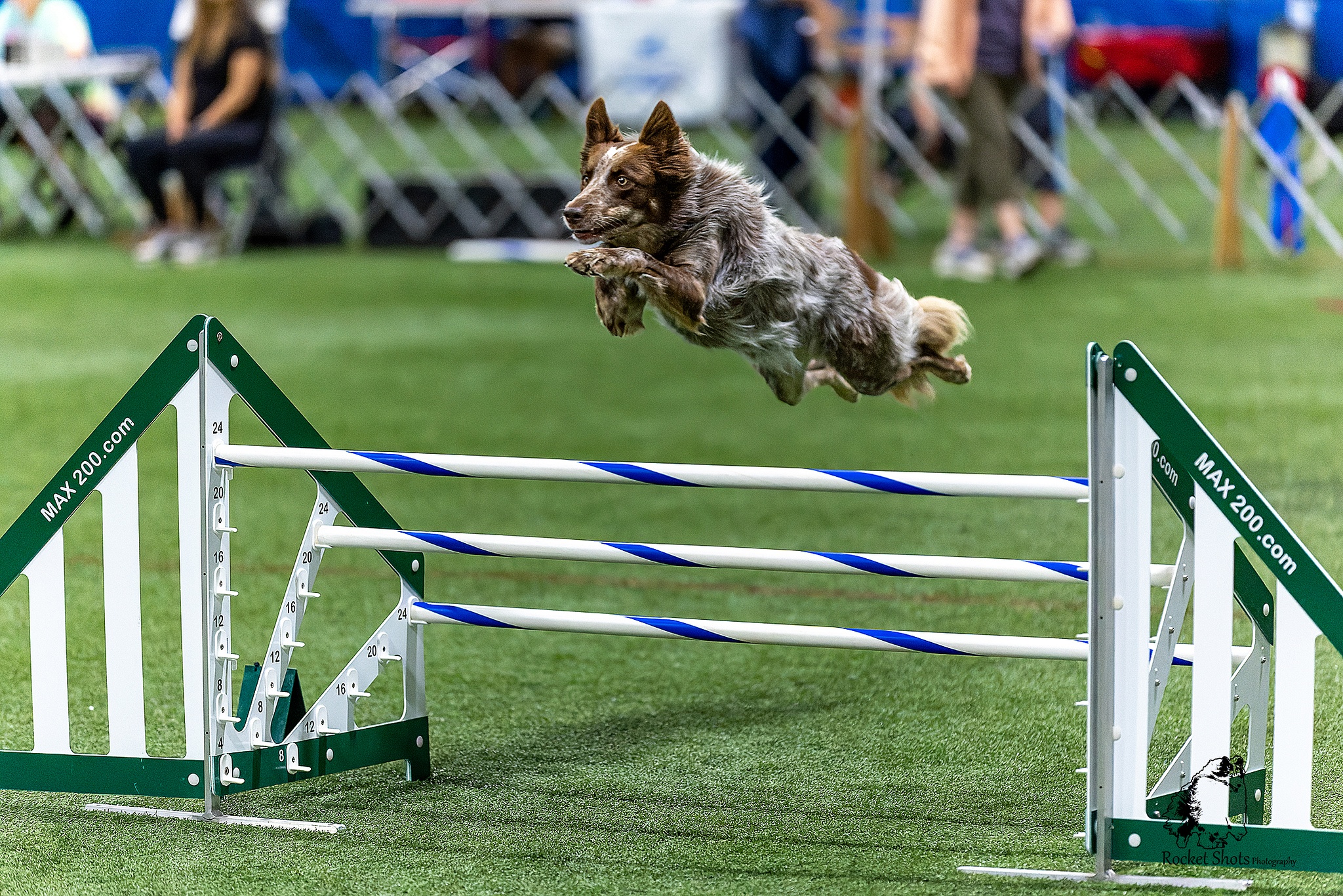 Rocket Shots Photography