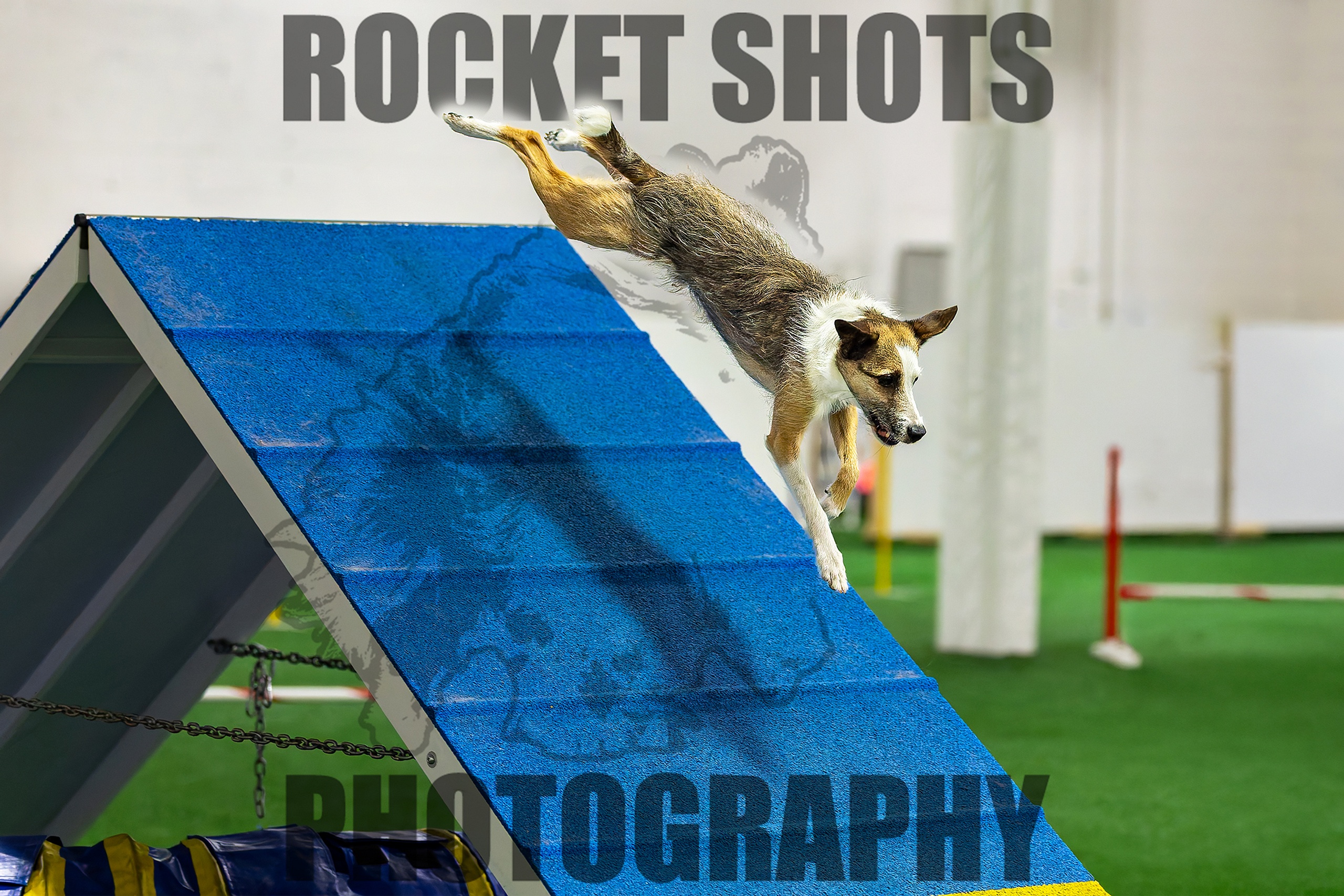 Rocket Shots Photography