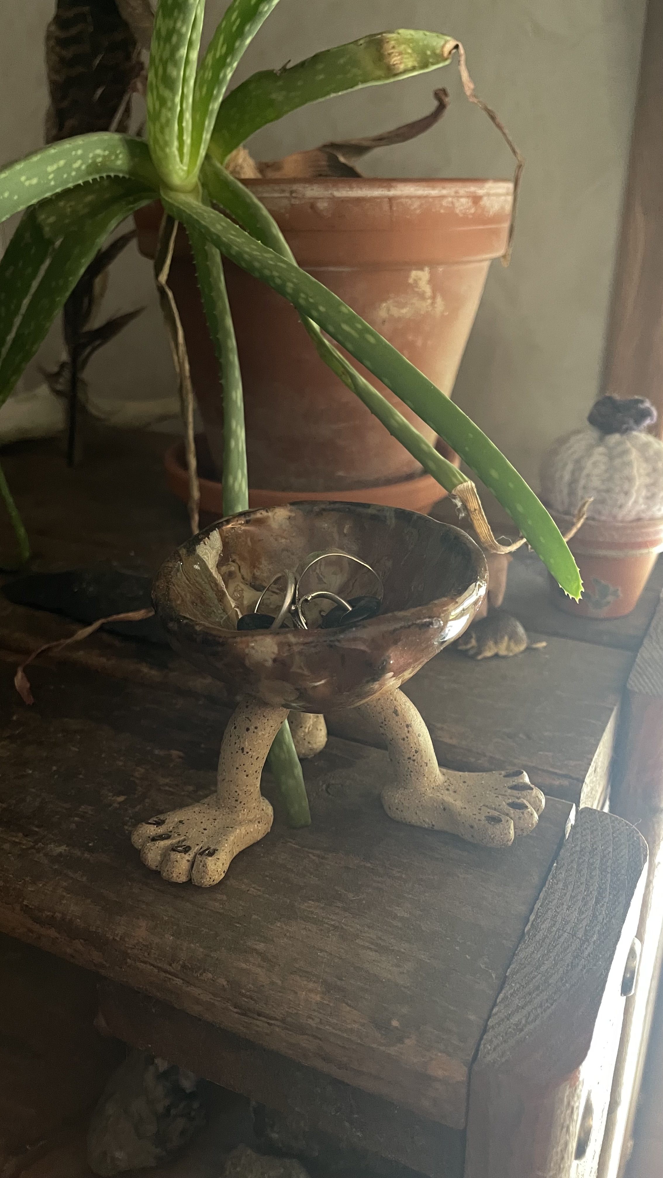 Mr. Feet
