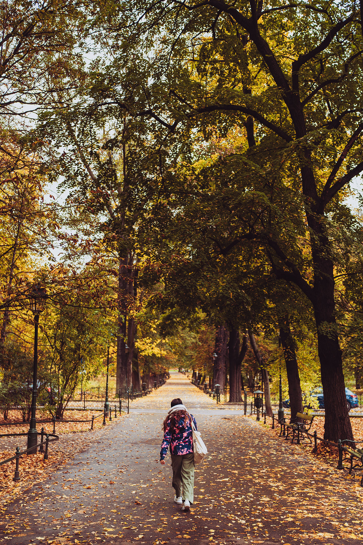 Tom Calton Krakow Preset