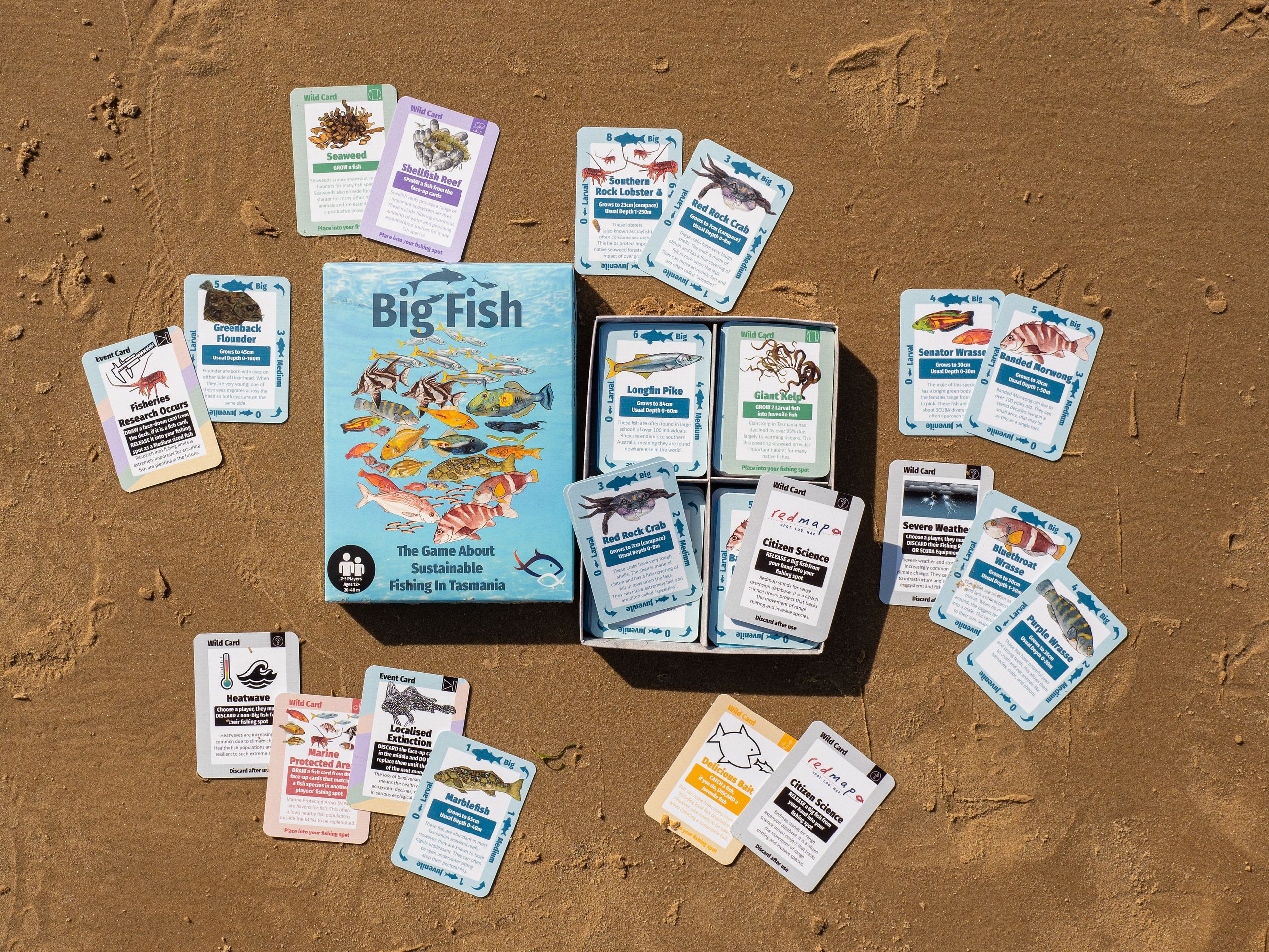 BIG FISH CARD GAME | Matt Testoni