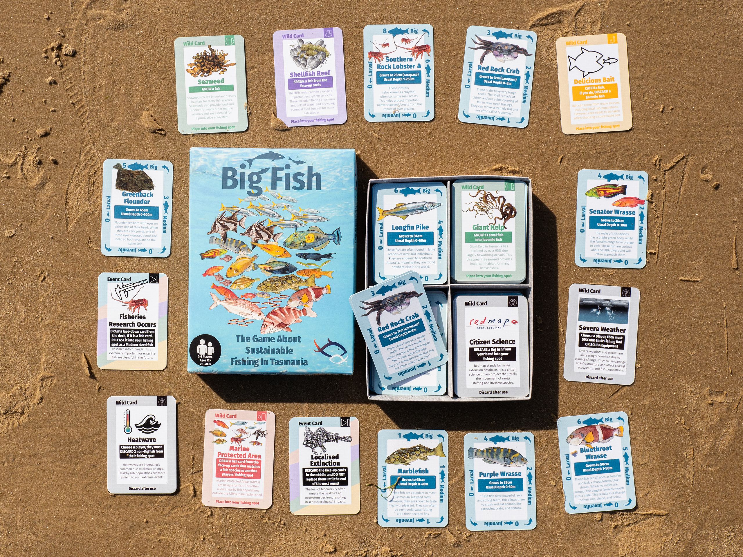 BIG FISH CARD GAME | Matt Testoni
