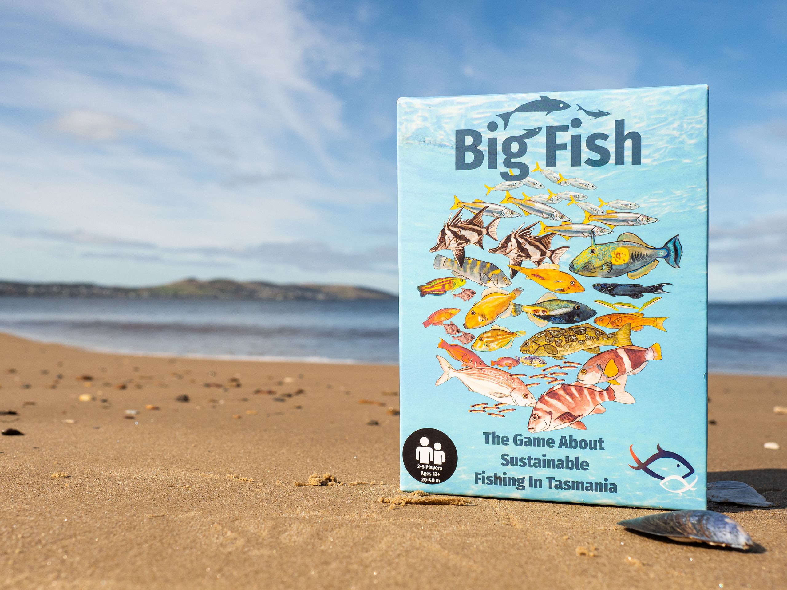 BIG FISH CARD GAME | Matt Testoni