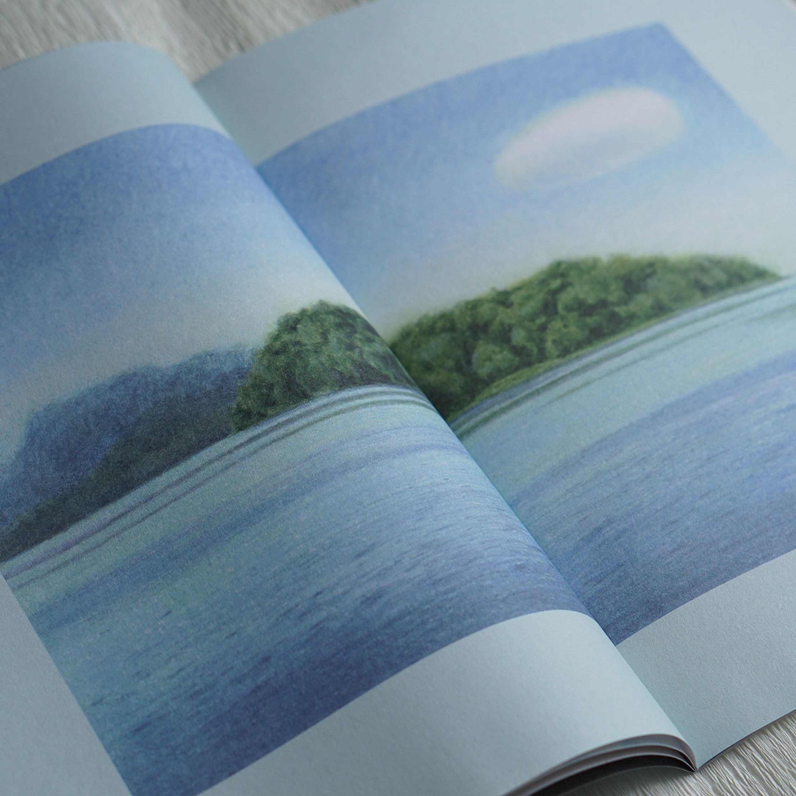 Store - Absolute Field of Water Zine